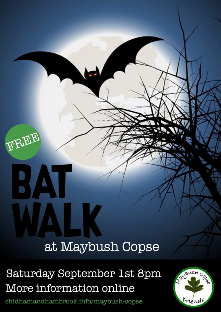 Maybush Copse Bat walk | Chidham & Hambrook (in the county of West Sussex)